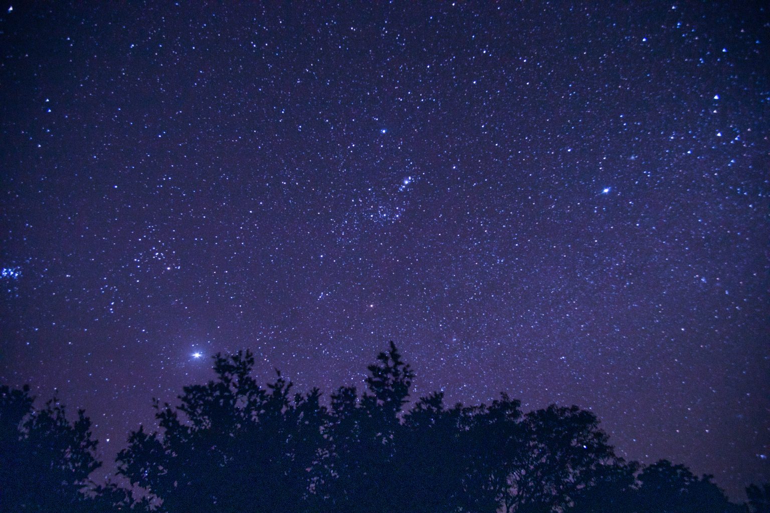 Night Sky at Reserva Don Luis | Collett Trust